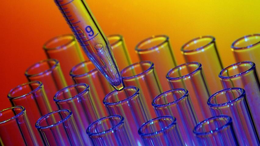 Non-animal research charity awards studentship to Plymouth University ...