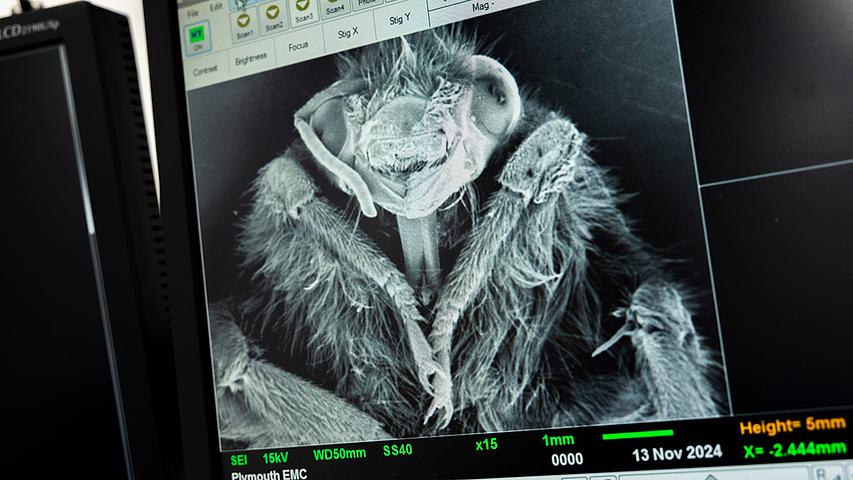 Training at Plymouth Electron Microscopy Centre (PEMC) - University of ...